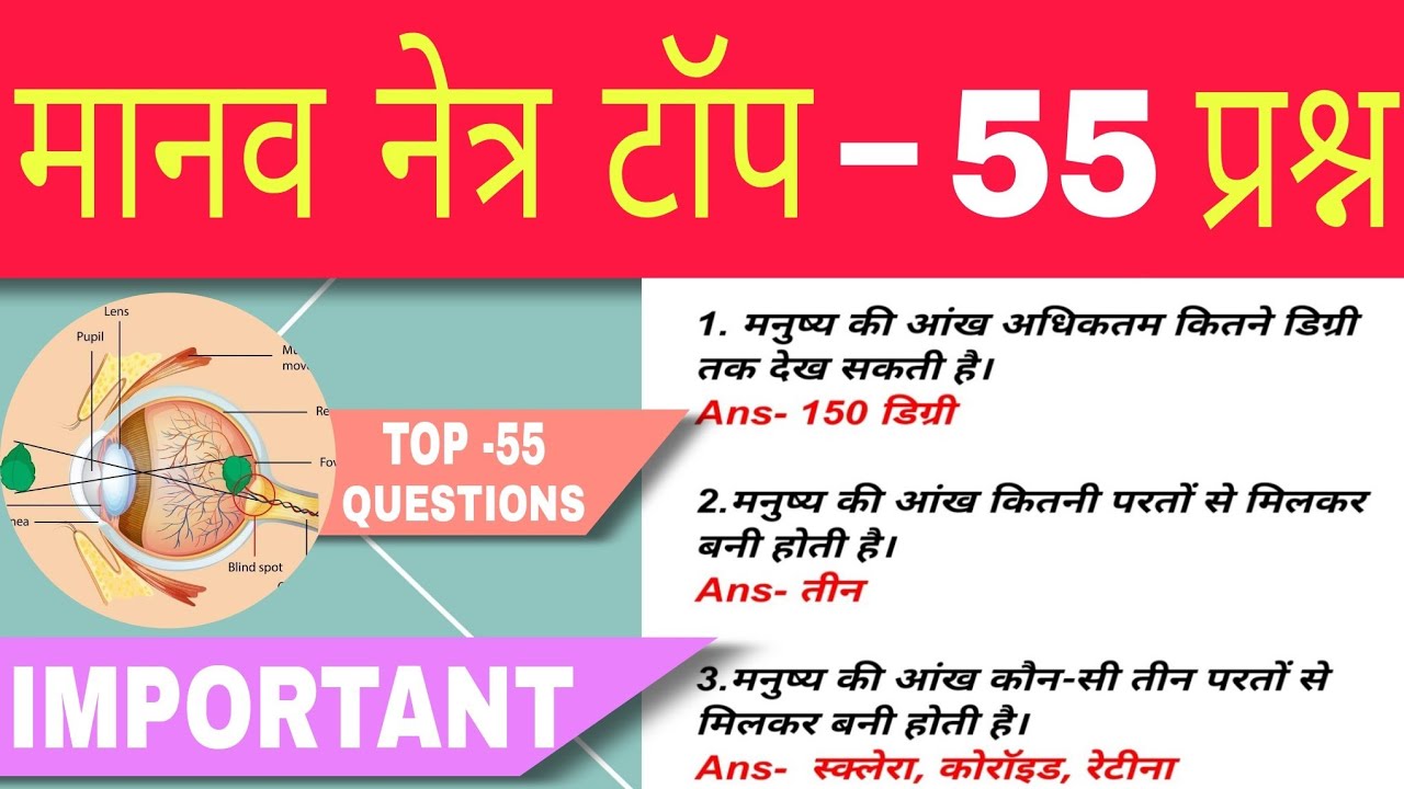 मानव नेत्र टॉप : 55 प्रश्न।Manav Netra Important Questions।Human Eye ...