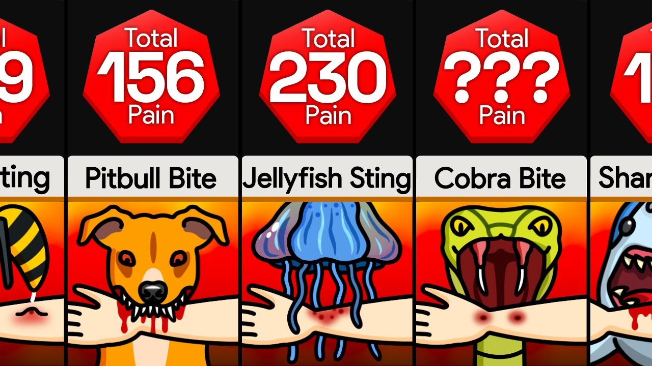 Comparison: Extreme Animal Bite Survivors - YouTube