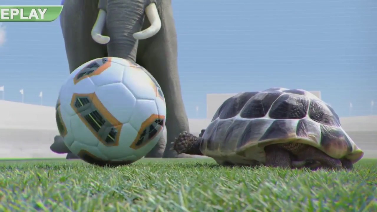 Athletic ~ Animals Funny Football goalkeeper - YouTube