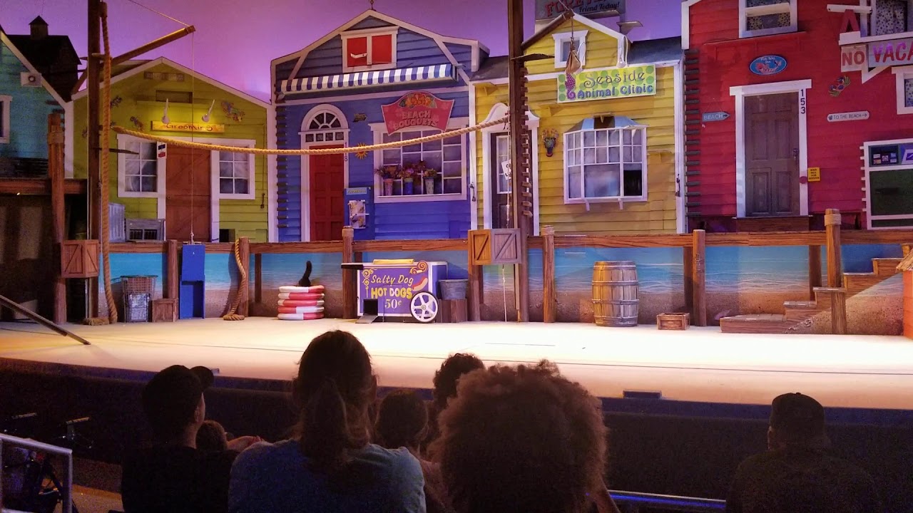 Pets Ahoy show #2 at Seaworld - YouTube