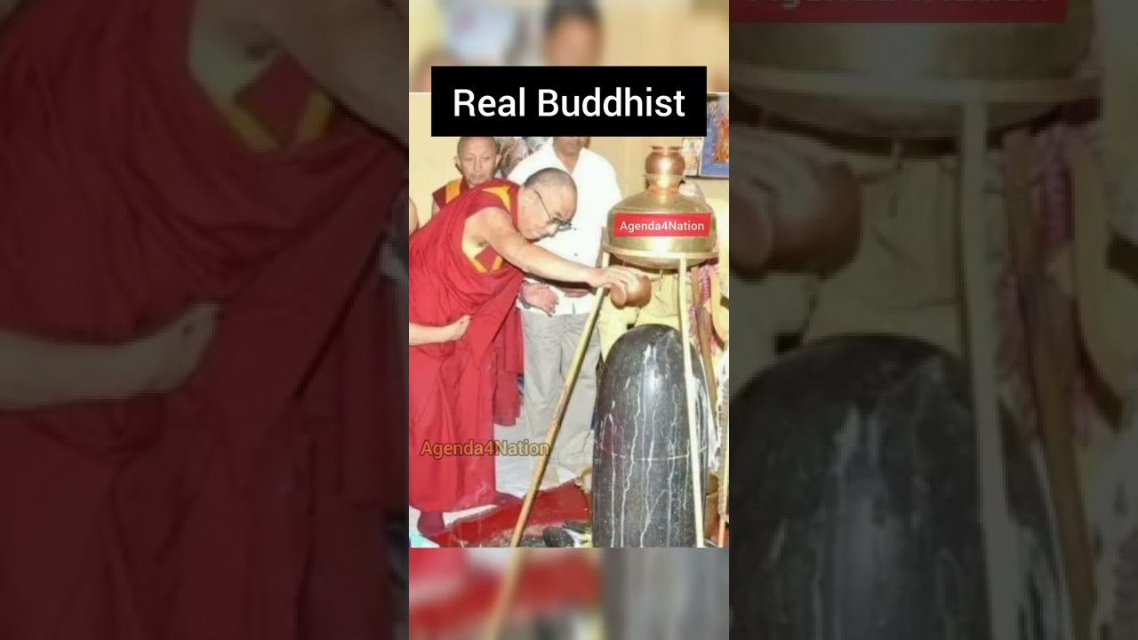 Fake Buddhist and Real Buddhist #buddhism #hindu #hinduism #sanatandharma #shorts - YouTube
