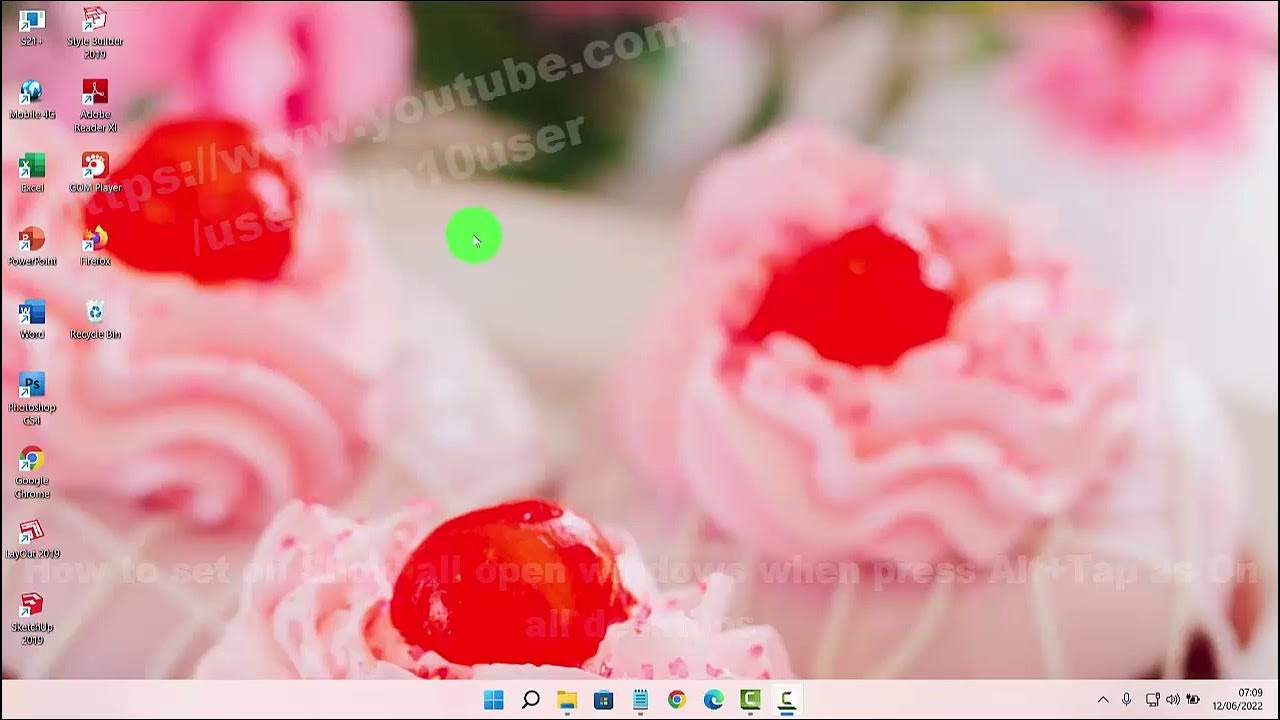 Windows 11 Home : How to set on Show all open windows when press Alt ...