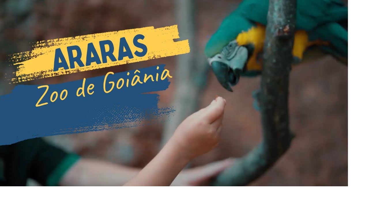 Na CASA DOS BICHOS - ZOO DE GOIÂNIA - YouTube