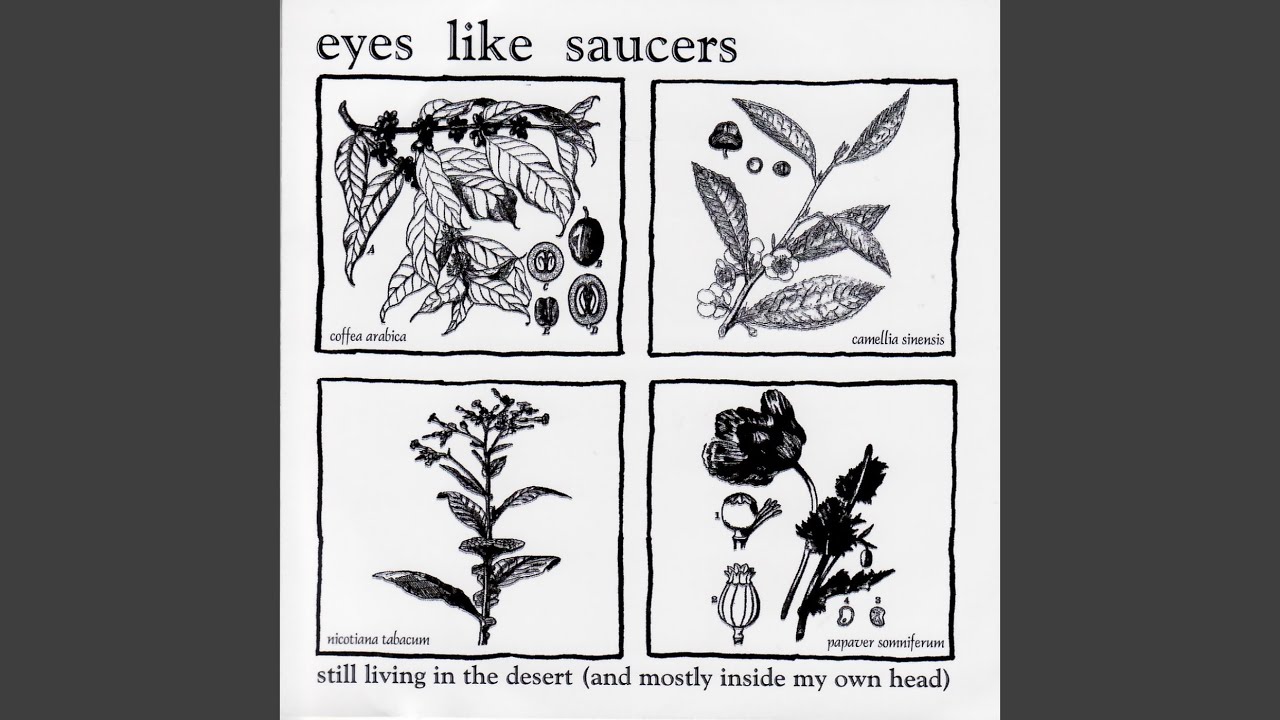 Delusion of Reference - YouTube