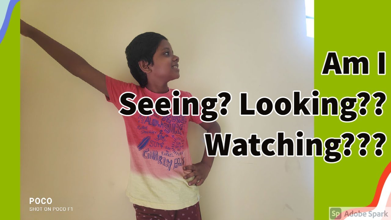 Difference Between See Watch And Look English Grammar Lesson Difference Between See Watch And Look English Grammar Lesson