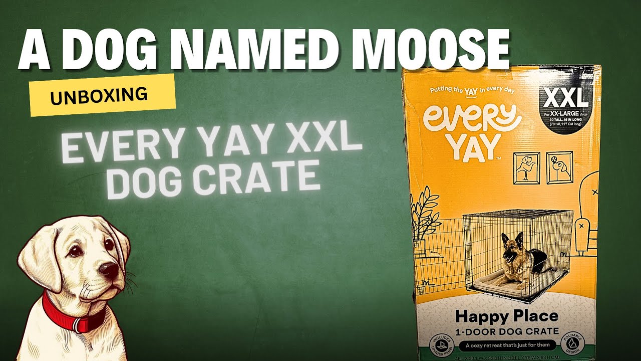 EveryYay Dog Crate - YouTube