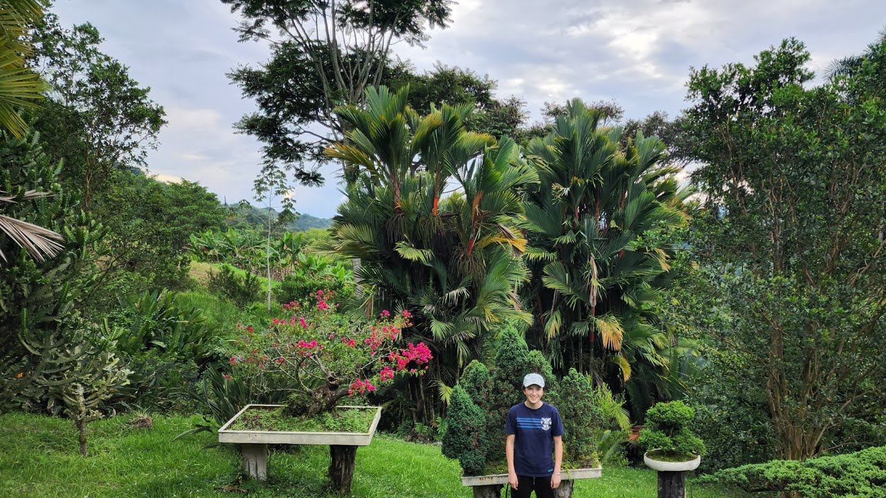 Sophie's Garden 哥伦比亚Finca Romelia，兰花农场幽美优越兰花围绕的住宿环境 - YouTube