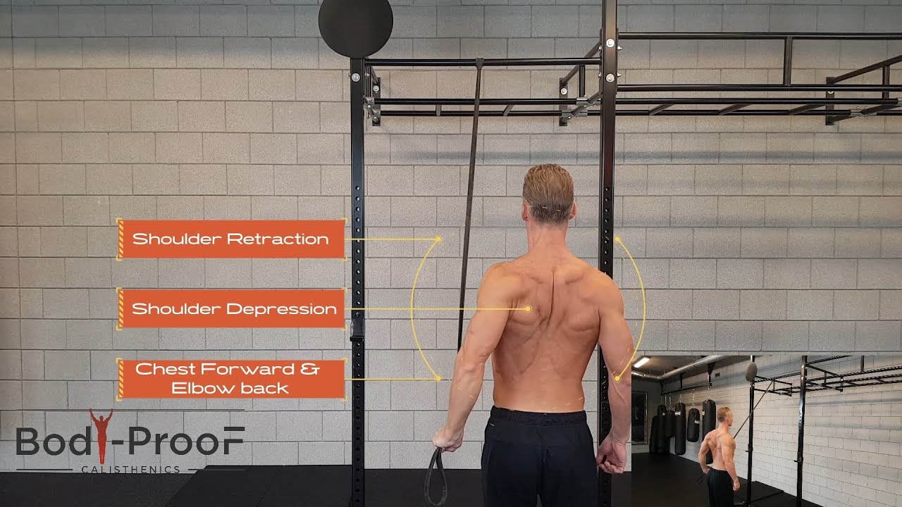 Straight 1 Arm Pushdown - Absolute Beginner With Band - YouTube