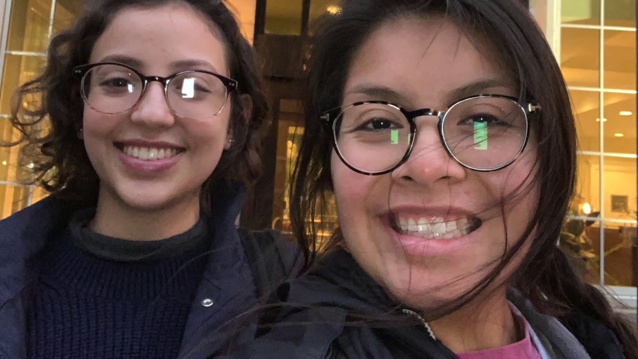 UNIV 101 Chicago Volunteer Project: Chicago Cares - YouTube