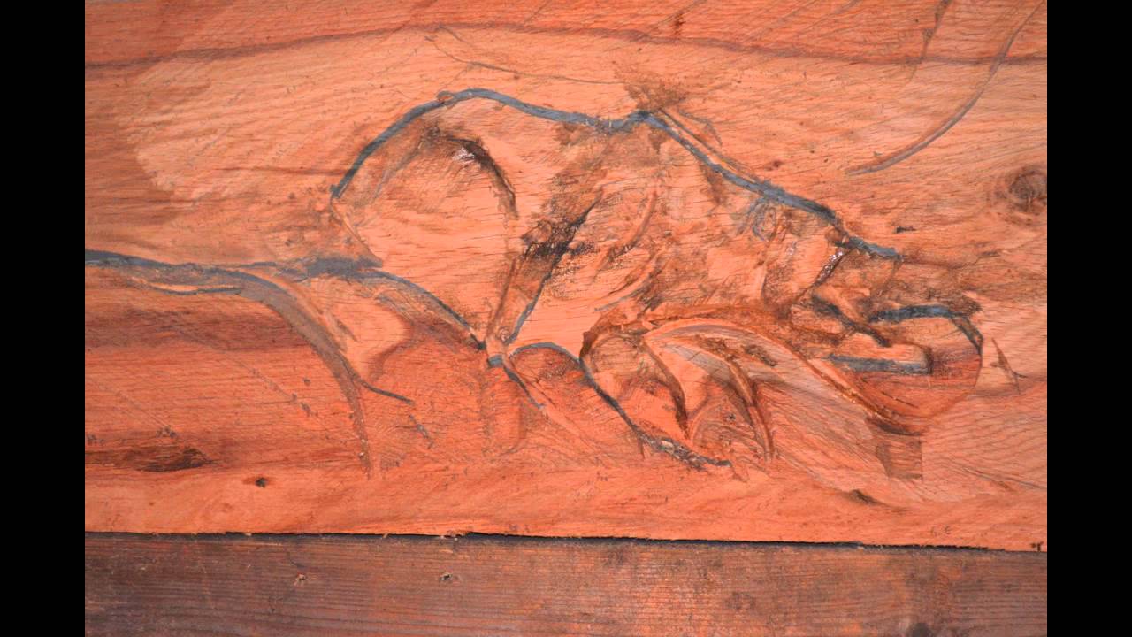 Simon Hedger chainsaw carving time-lapse - YouTube