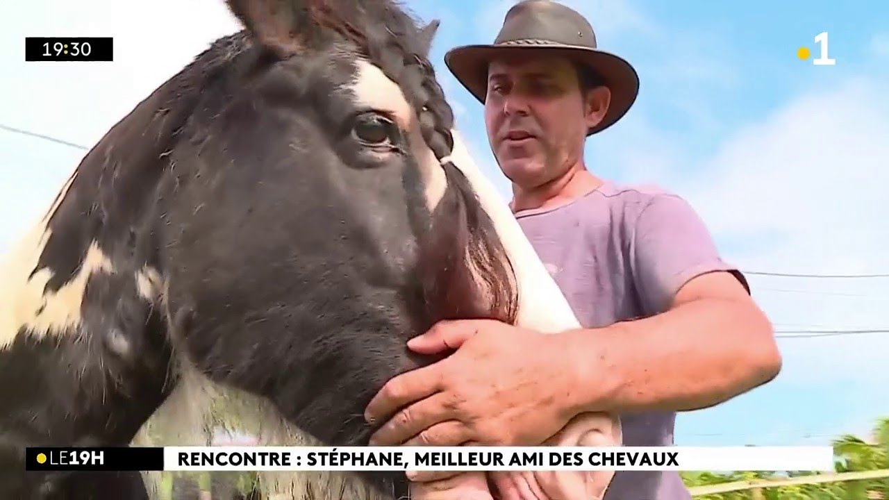 Stéphane Hoareau murmure son amour aux chevaux - YouTube