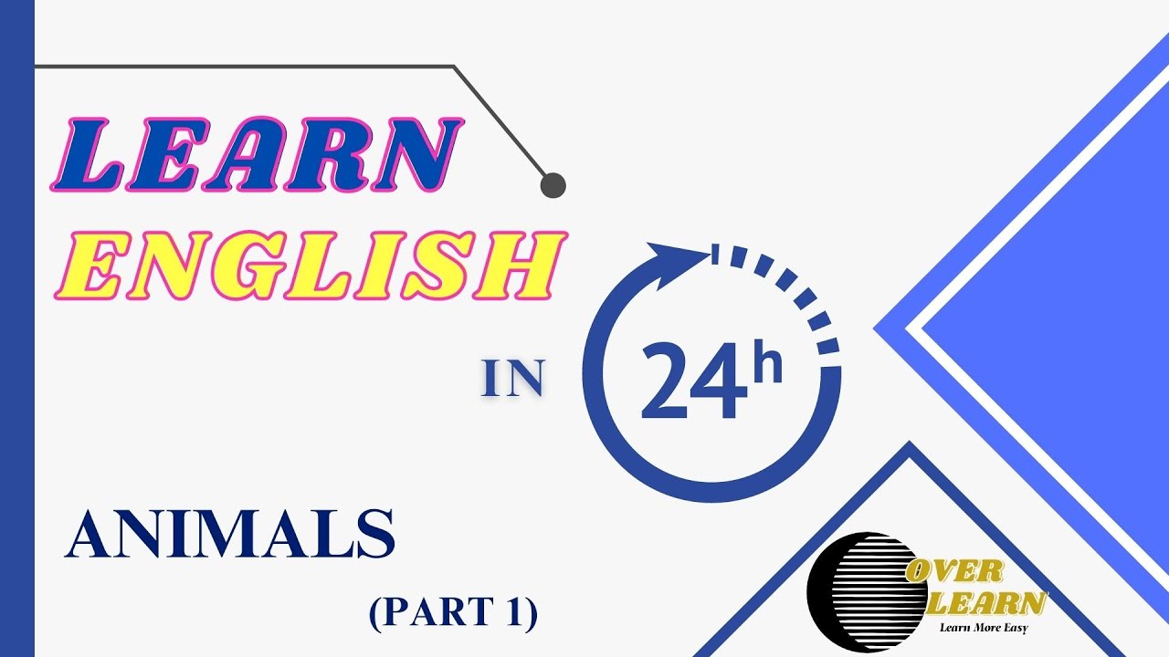 Learn English in 24 Hours- Animals- Part 1 / Learn the Name of Animals ...