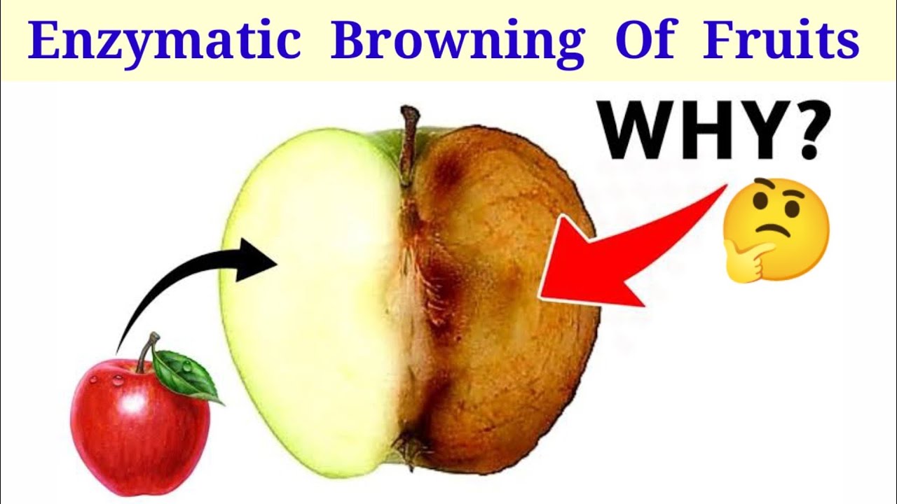 Enzymatic Browning Of Fruits / Why Apple Become Brown After Cut? - YouTube