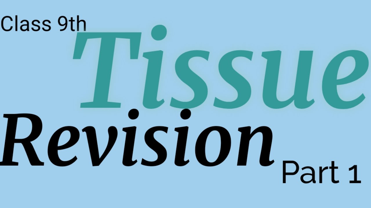 Class 9th Tissue Revision Part 1 YouTube class-9th-tissue-revision-part-1-youtube