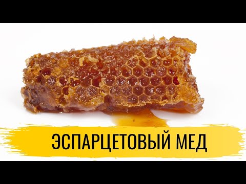 Мед. Эспарцетовый мед - YouTube