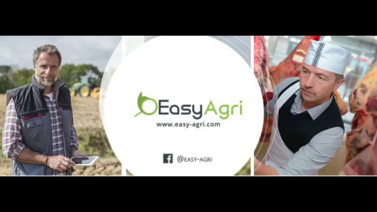 Easy-Agri.com, le site spécialisé dans les petites annonces d’animaux d ...