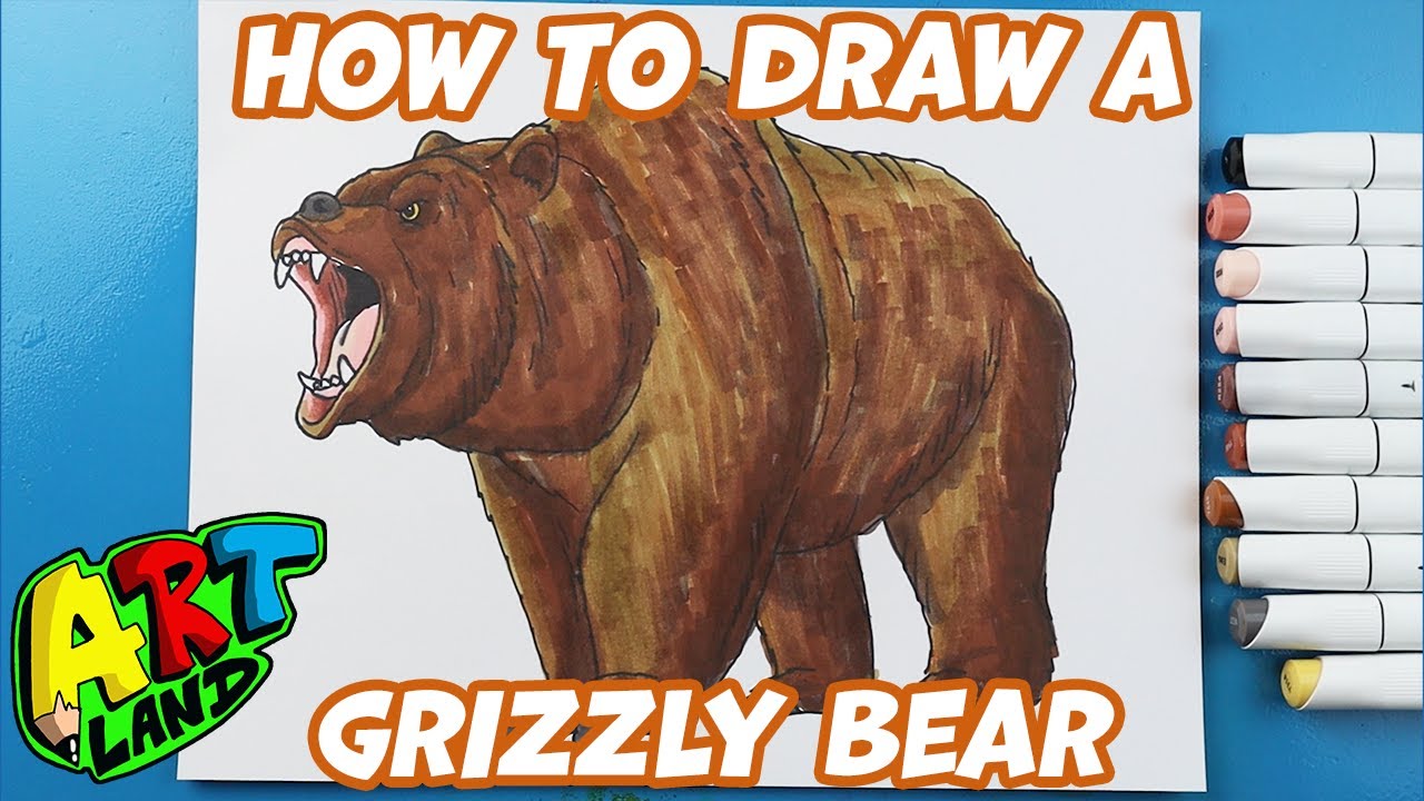 How To Draw A Bear Realistic