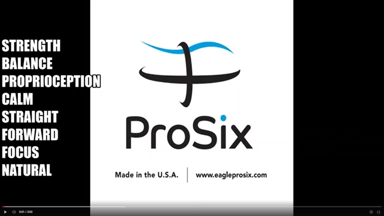 Eagle ProSix Equine and K9 Highlights - YouTube