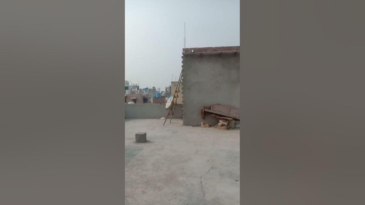 meow vlogs(2) - YouTube