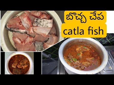 రుచికరమైన బొచ్చ చేప పులుసు/catla fish curry in telugu/same process for ...