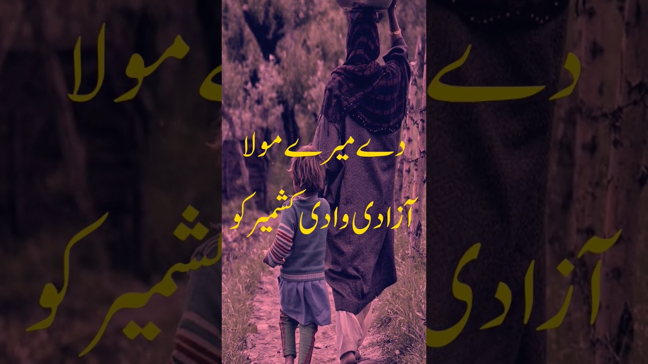 5 February Youm e Kashmir Poetry - Hath mein Pathar Liye Shehzadiyan ...