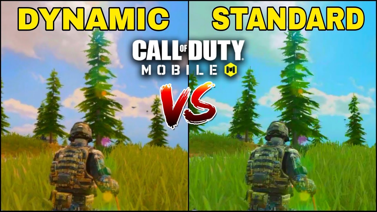 DYNAMIC VS STANDARD MAX GRAPHICS COMPARISON CALL OF DUTY MOBILE | CODM ...