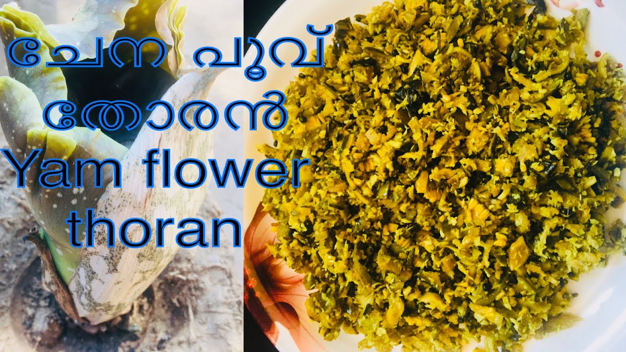 ചേന പൂവ്‌ തോരൻ/Yam flower thoran malayalam video - YouTube