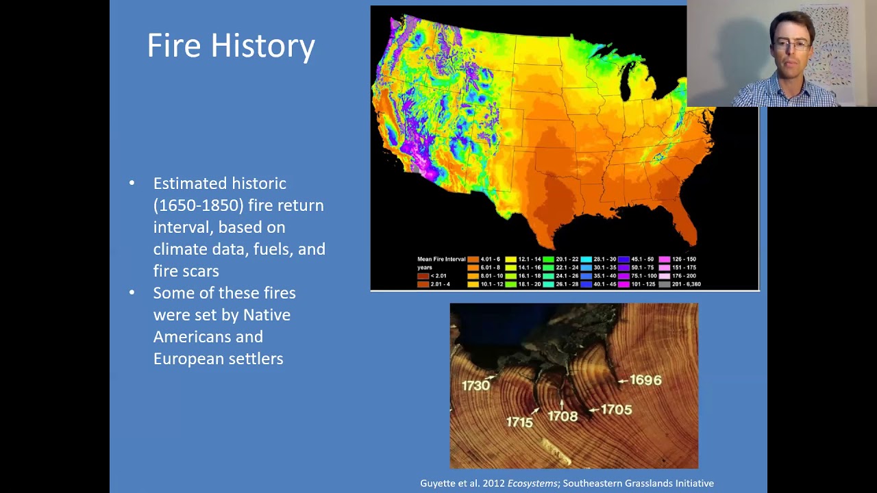 What is a (northern) Piedmont Prairie? - YouTube