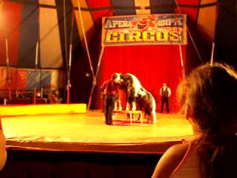 Ponies at Circus Arena - YouTube