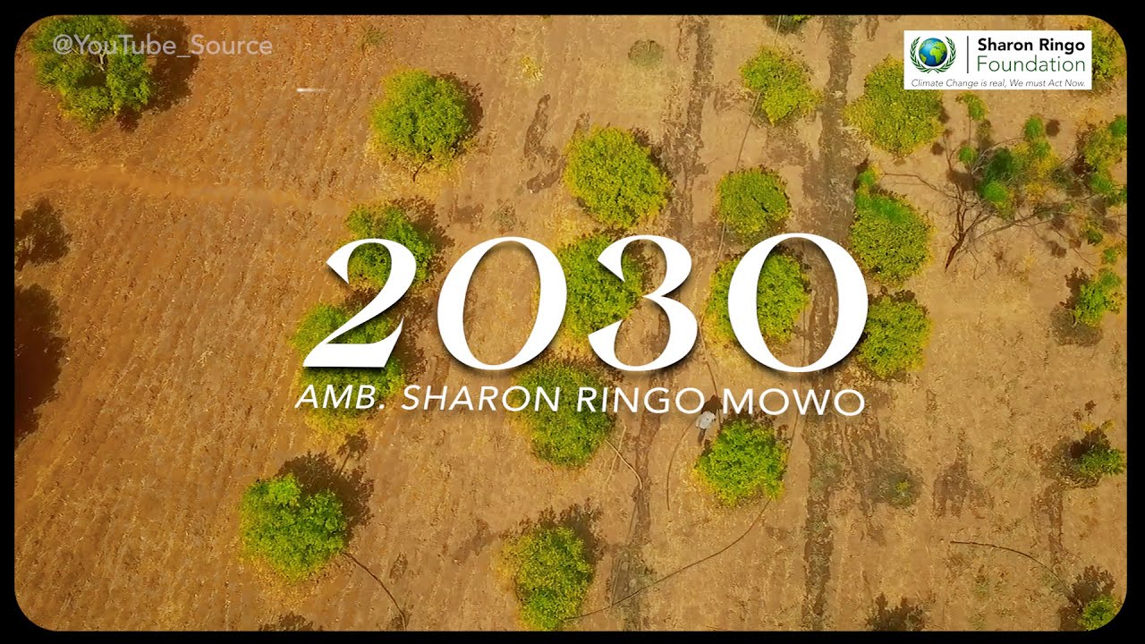 AMB: SHARON RINGO: 2030 - YouTube