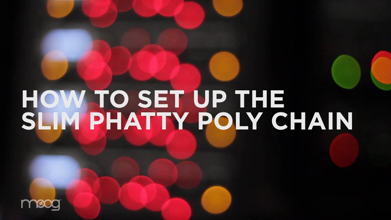 How to Set Up the Slim Phatty Poly Chain - YouTube