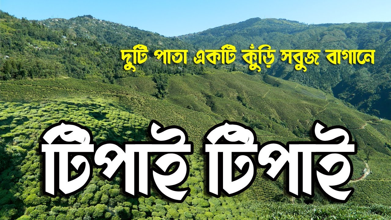 Tipai Tipai || টিপাই টিপাই টিপাইরে || Clarinet Cover || - YouTube