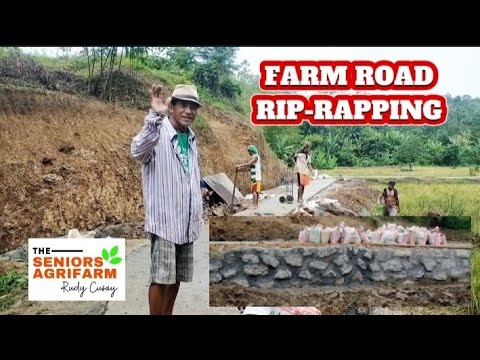 DAY 2 : FARM ROAD RIP-RAPPING | The Seniors AgriFarm by Rudy Cusay ...