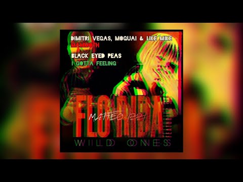 I Gotta Feeling x Wild Ones x Mammoth [Matteo Izzi Mashup] [DVLM, Black ...