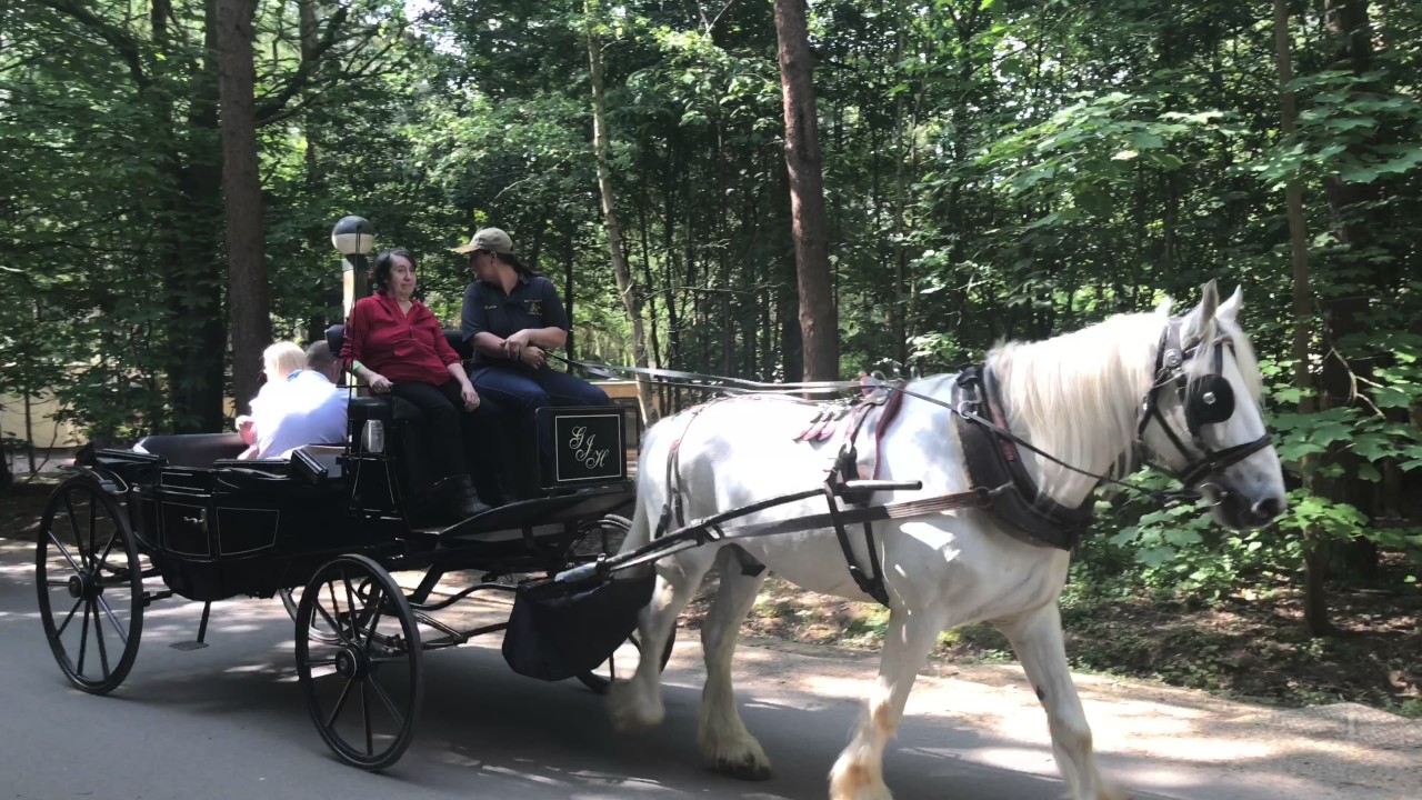 Carriage ride at Center Parcs 2017 - YouTube