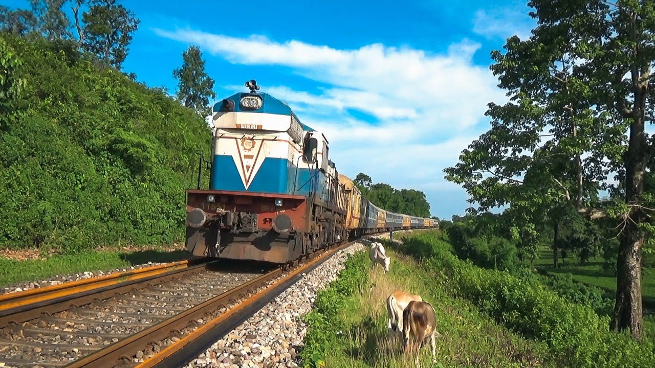 High speed Beautiful diesel train into the heavenly DOOARS forest - YouTube