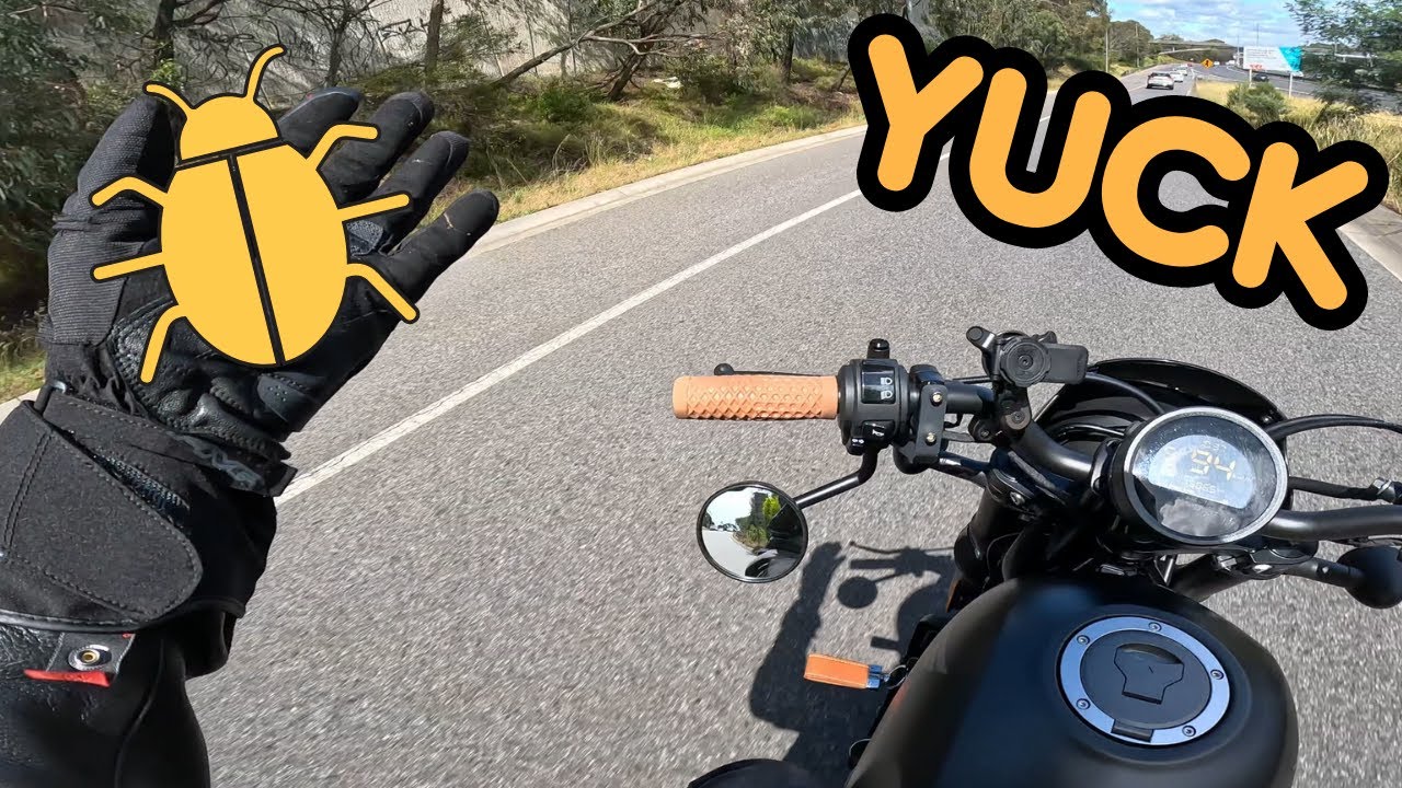 When Riding A Motorcycle, Bug Go SPLAT - YouTube