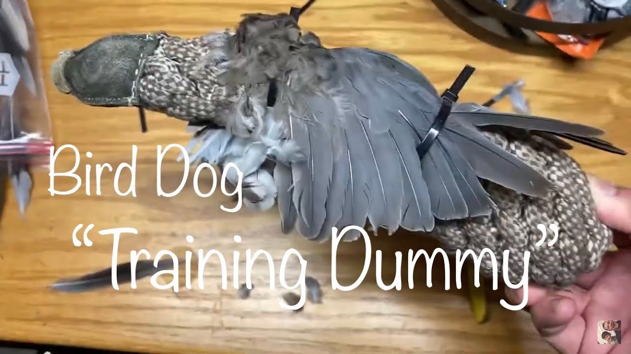 Homemade Retrieval Dummy (Bird Dog Training) - DIY - YouTube