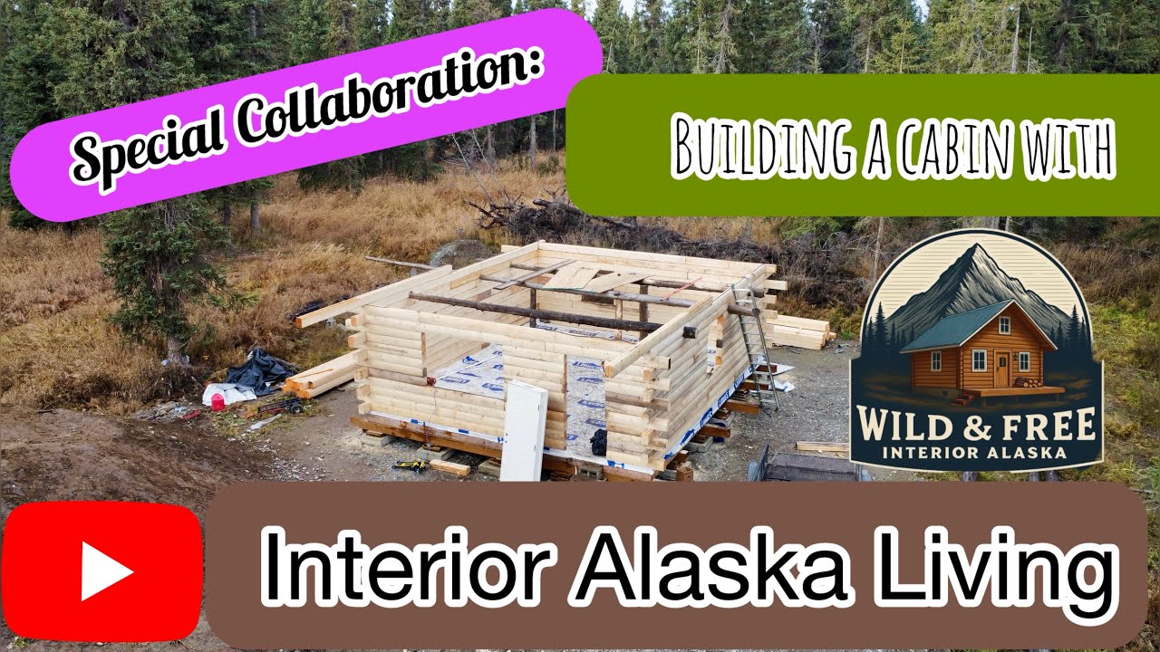 Collaboration time: Building a cabin with Interior Alaska Living! - YouTube