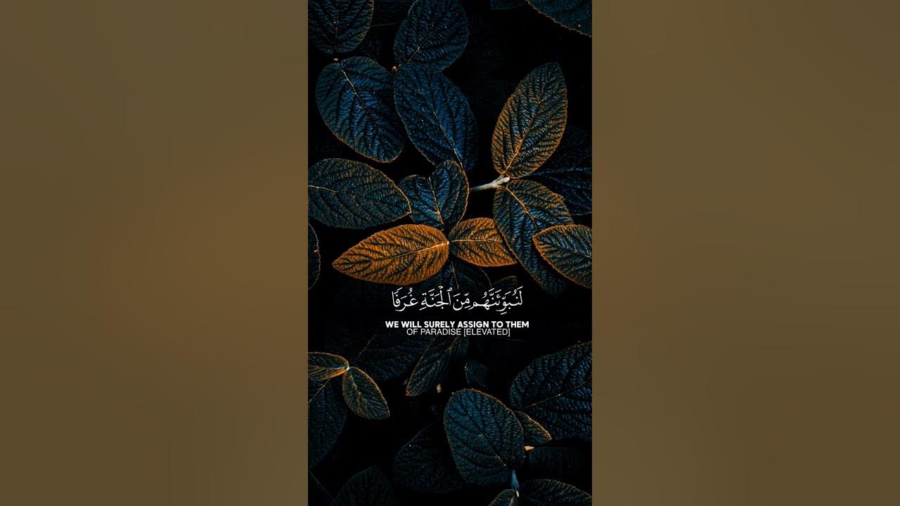 والذين امنو وعملو الصالحات لنبوئنهم عبدالرحمن مسعد Beautifulrecite