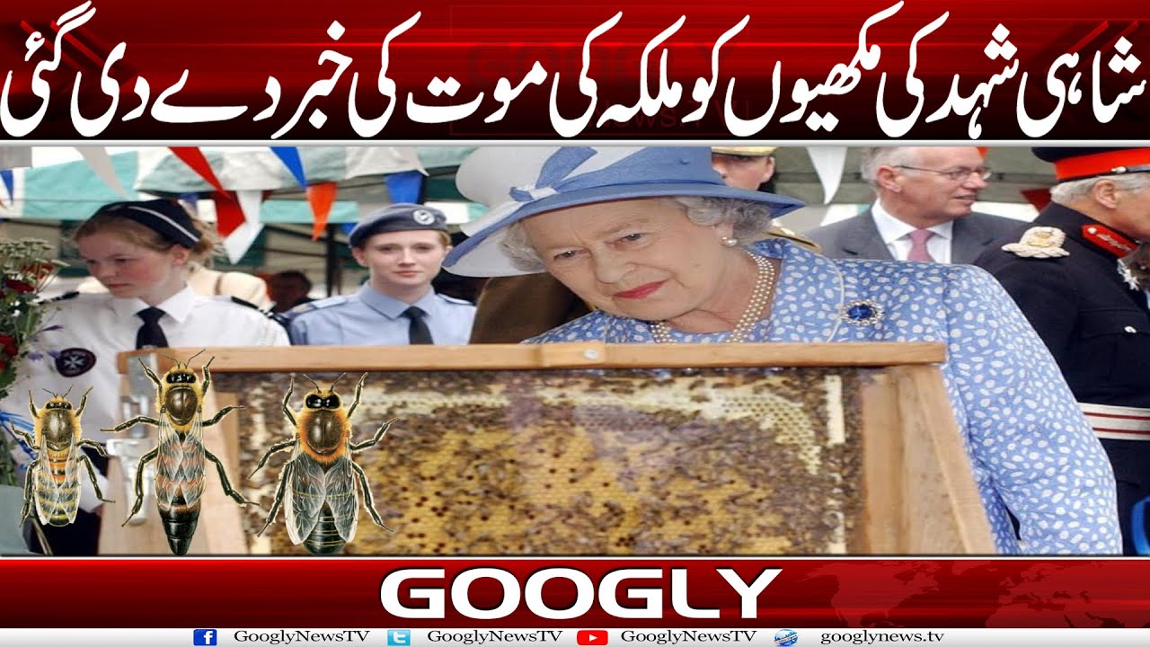 Shahi Shahad Kei Makhion Ko Malika Elizabeth Kei Maut Kei Itla Dai Dei ...