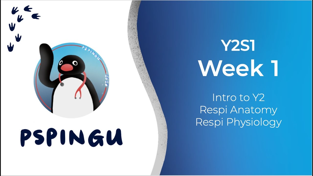 Sem 1 Week 1 Content - YouTube