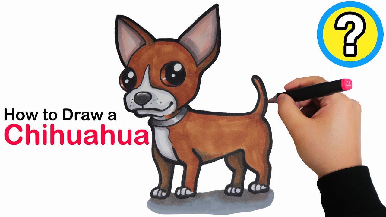 How to Draw a Chihuahua Easy | Chihuahua Puppy Drawing Cute - YouTube