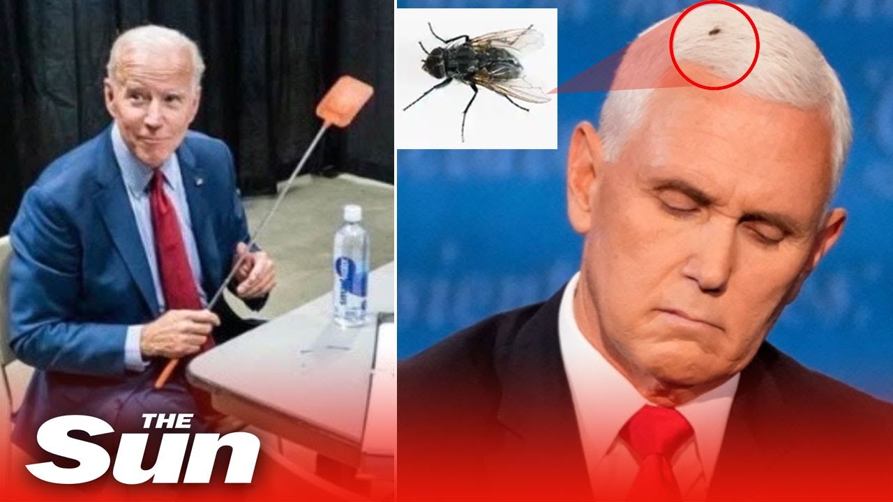 Fly stuck on Mike Pence’s head during VP debate - YouTube