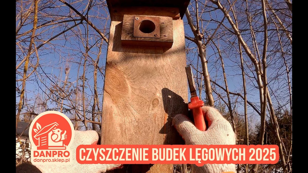 Czyszczenie budek lęgowych 2025 - YouTube