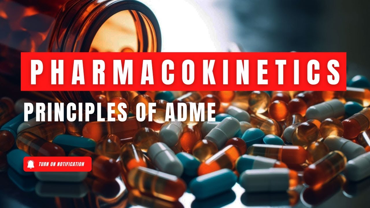 What is Pharmacokinetics? Principles of ADME - YouTube