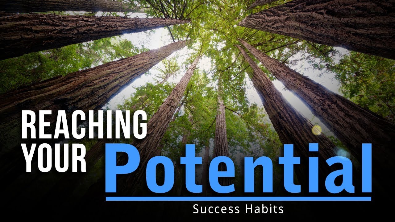 REACHING YOUR POTENTIAL - Success Habits Motivational Video - YouTube
