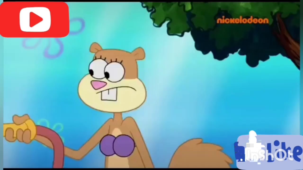 Bob Esponja Y Arenita Youtube