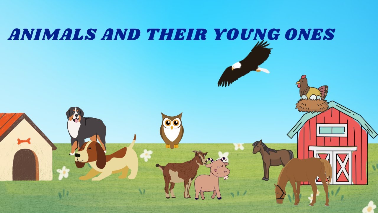 ANIMALS AND THEIR YOUNG ONES|| CHELLA KUTTY MAMBAZHAM | செல்ல குட்டி ...