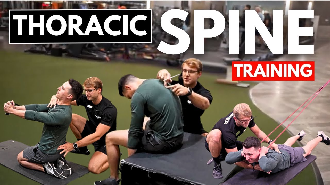 Thoracic Spine Mobility: Flexion, Extension & Rotation - YouTube